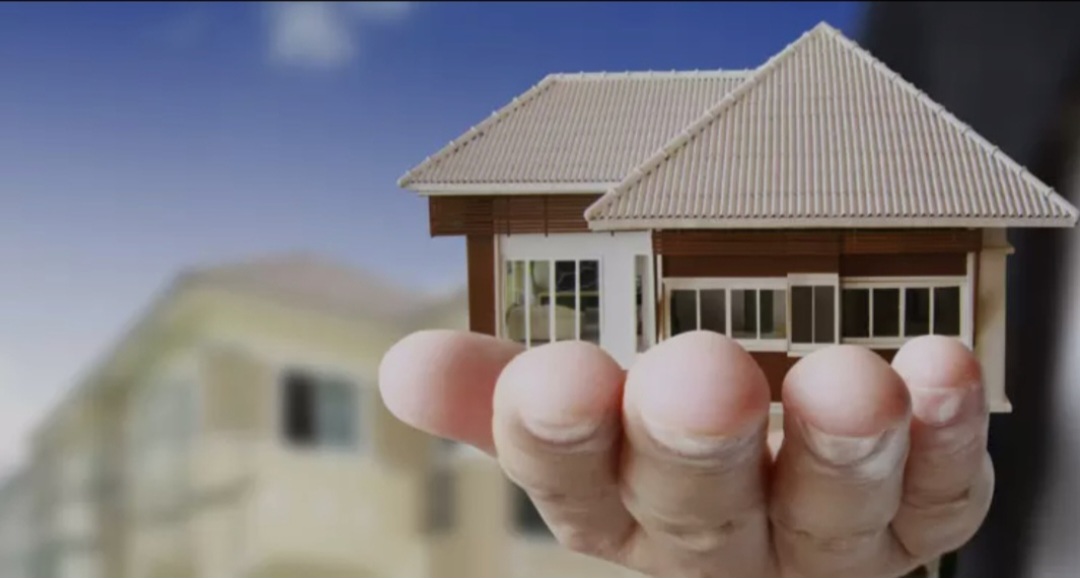 Truall / Toke në shitje | Shitet | MirLir.com